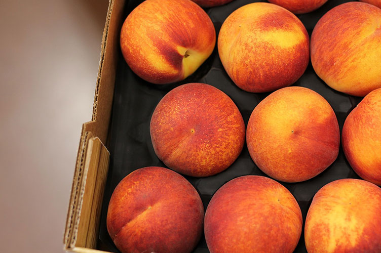 Yaş Meyve Grubu – İnnofresh